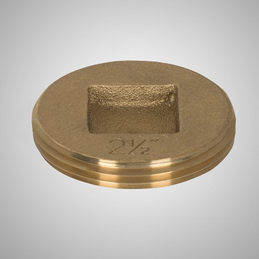 Prier Brass Cleanout Plug - C-200